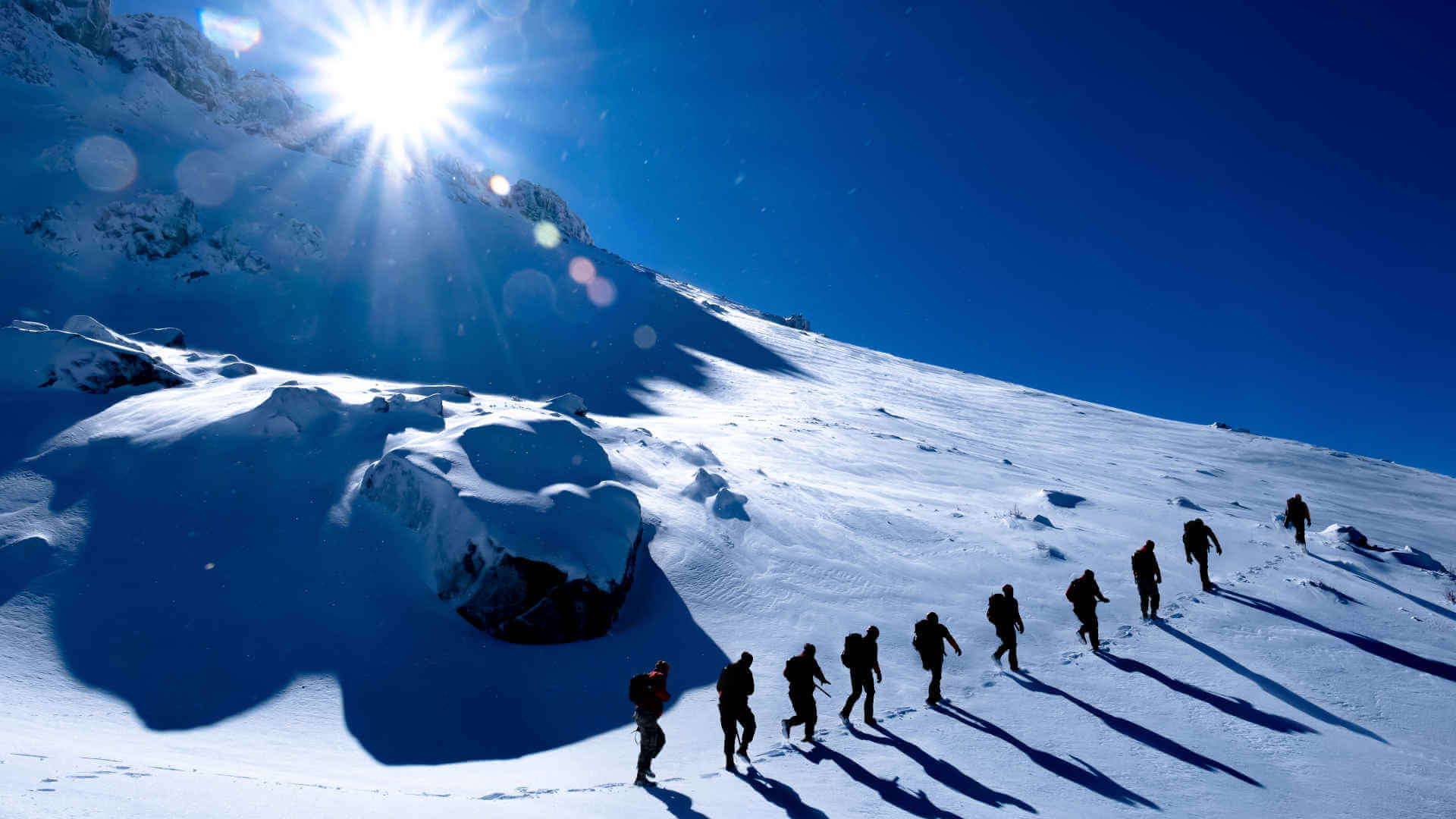 Solis Capital Partners Team: Experts in Growth